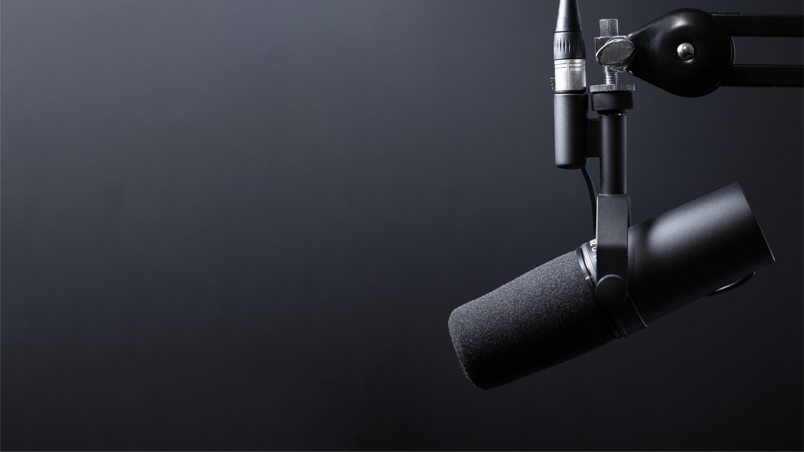 Mandy Wiener – Journalist, Author, Media Specialist, Superhero